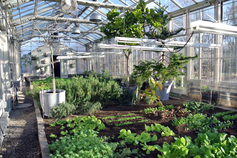 The Martha Stewart Blog : Blog Archive : A Look Inside My Vegetable ...